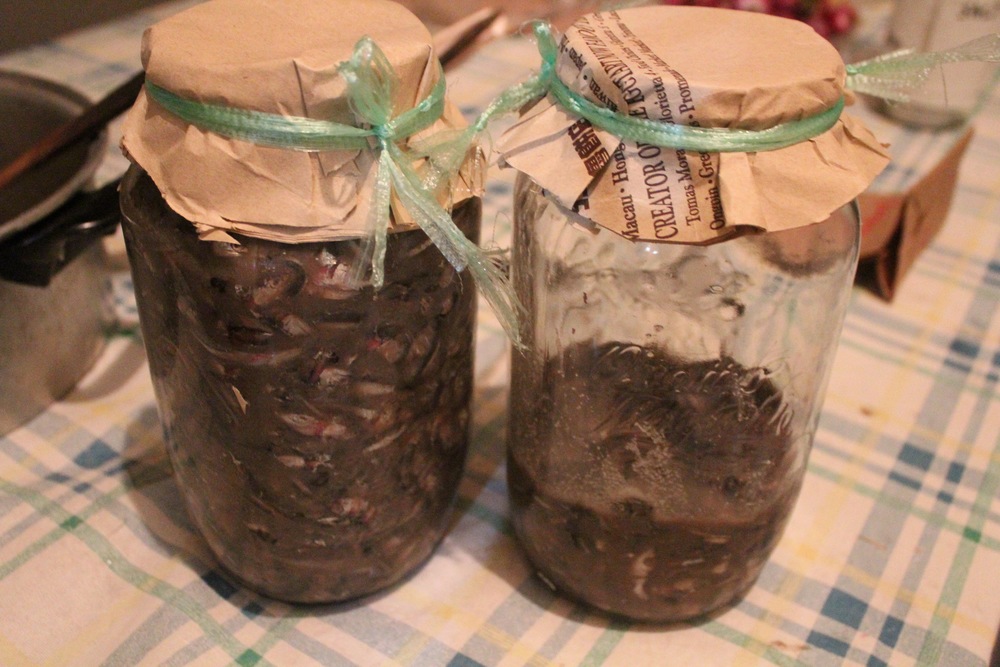 How to Make Bagoong by Sarahlynn Pablo – The Errant Diner